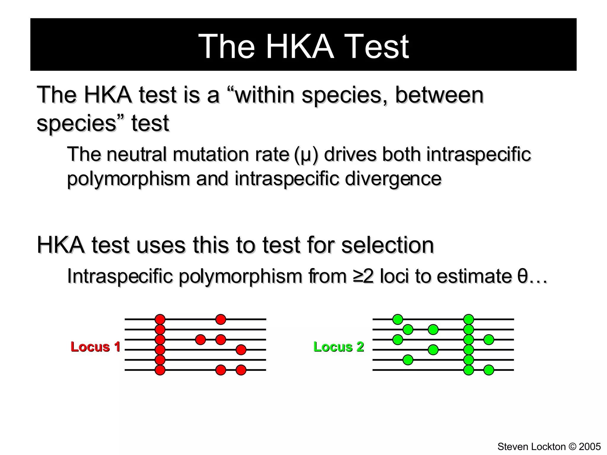 The HKA Test | PPT