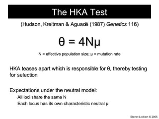 The HKA Test | PPT