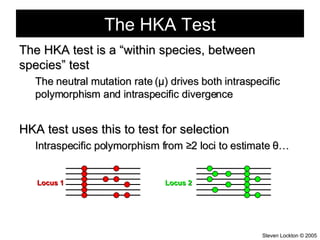 The HKA Test | PPT