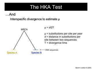 The HKA Test | PPT