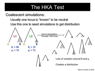 The HKA Test | PPT