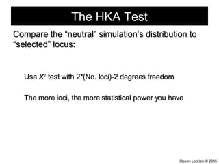 The HKA Test | PPT