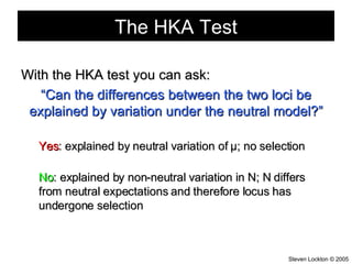 The HKA Test | PPT