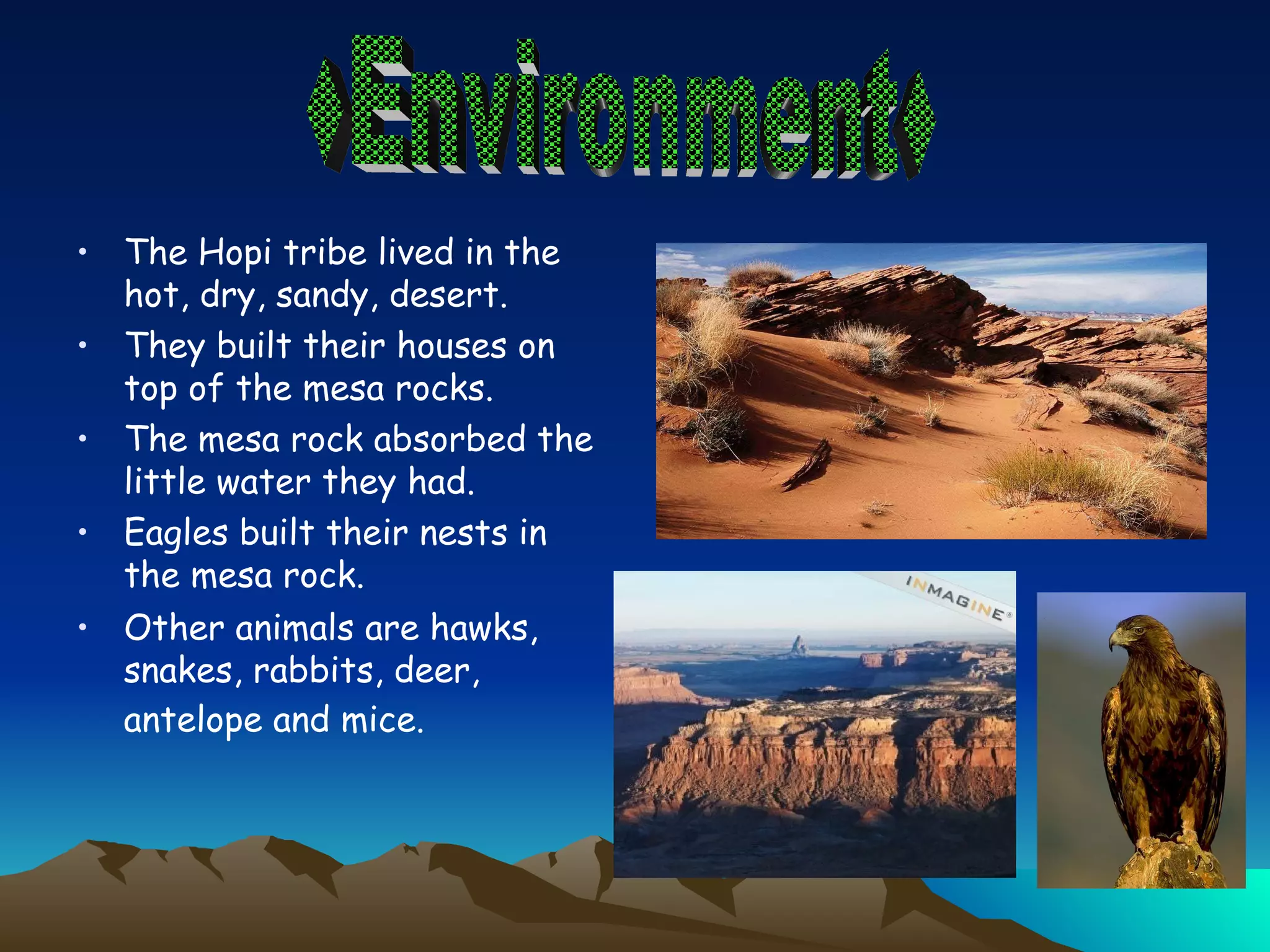 The Hopi Tribe | PPT