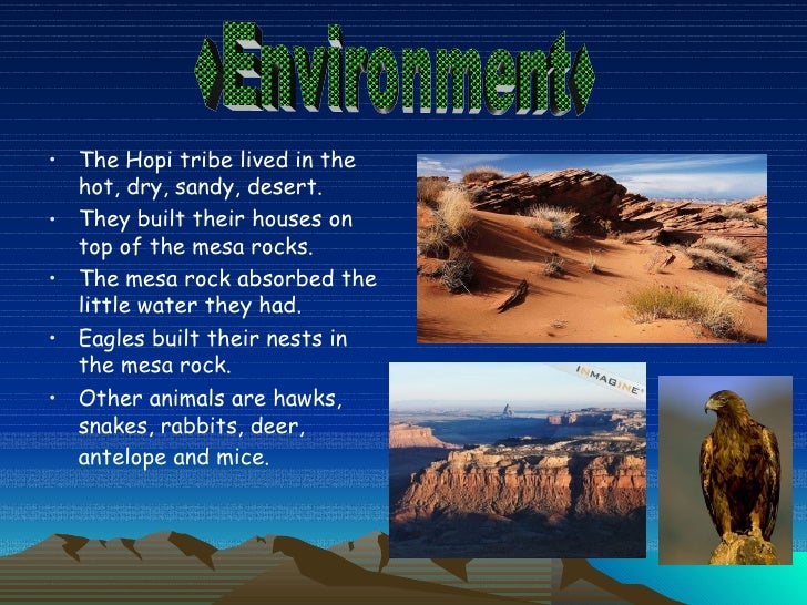 The Hopi Tribe