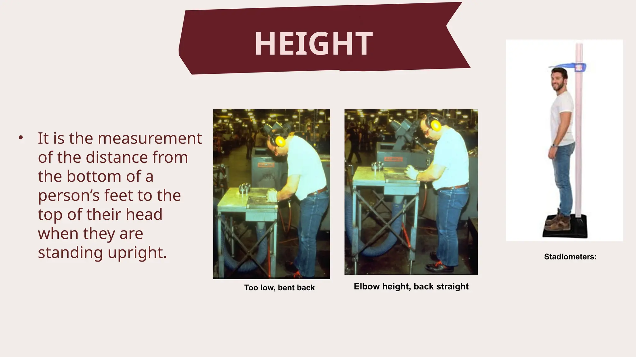 The-Human-Body-in-Art-Education-Presentation-in-Red-Brown-Hand-Drawn ...