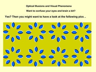 The Human Brain | PPT