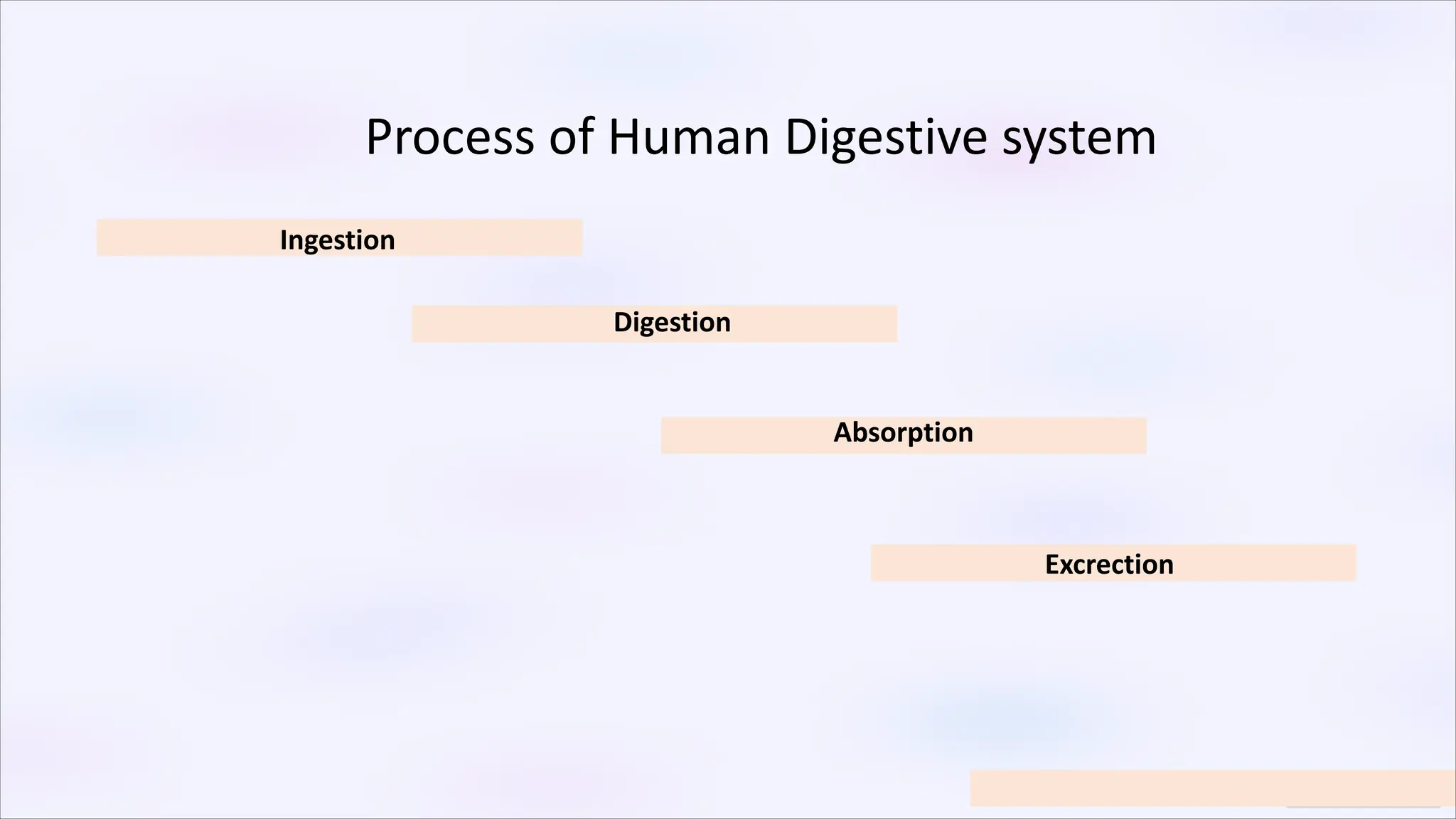CH 15: The--Human--Digestive--System ppt | PDF
