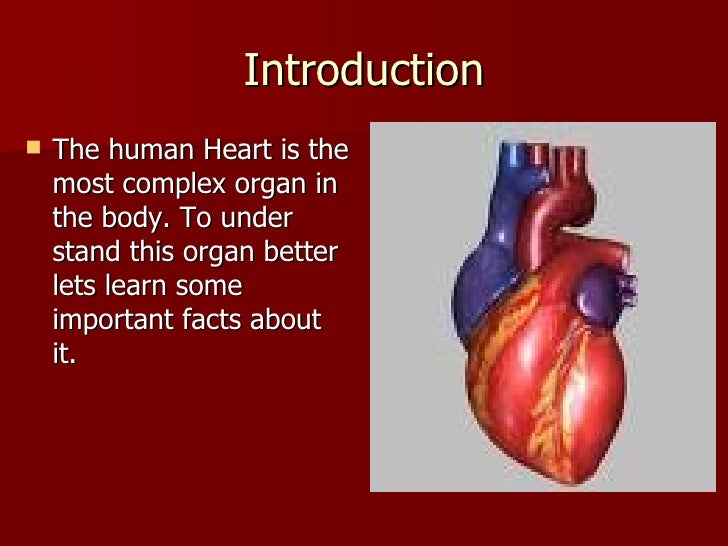 The Human Heart