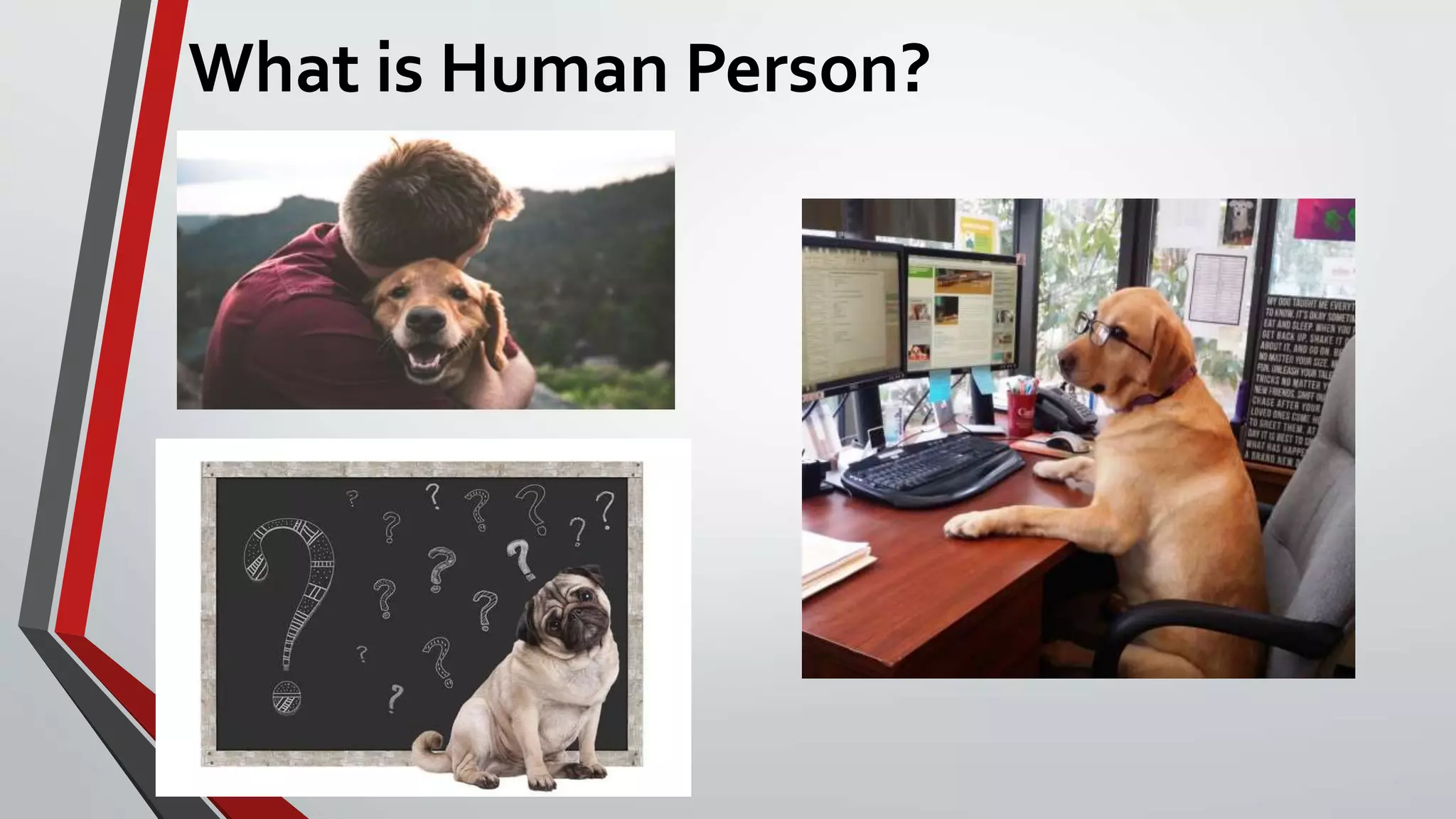 The-Human-Person-as-Embodied-Spirit.pptx