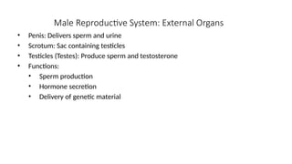 Grade 10 The-Human-Reproductive-System.pptx