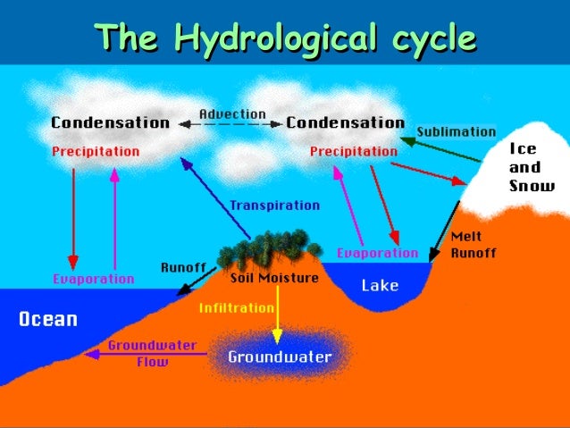 The hydrological-cycle
