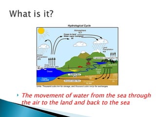 The Hydrological Cycle | PPT | Chemistry | Science
