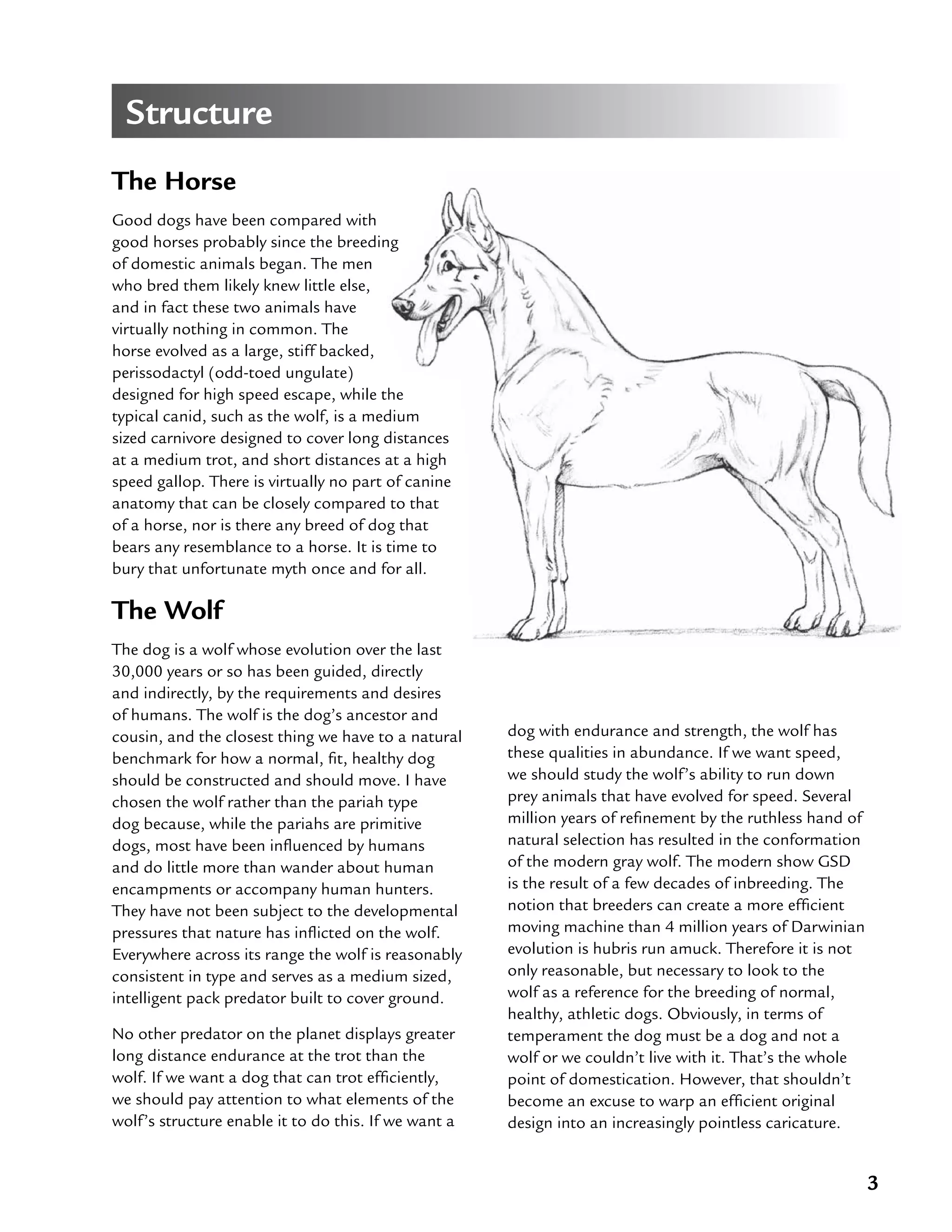 The illustrated-standard-for-the-german-shepherd-dog | PDF
