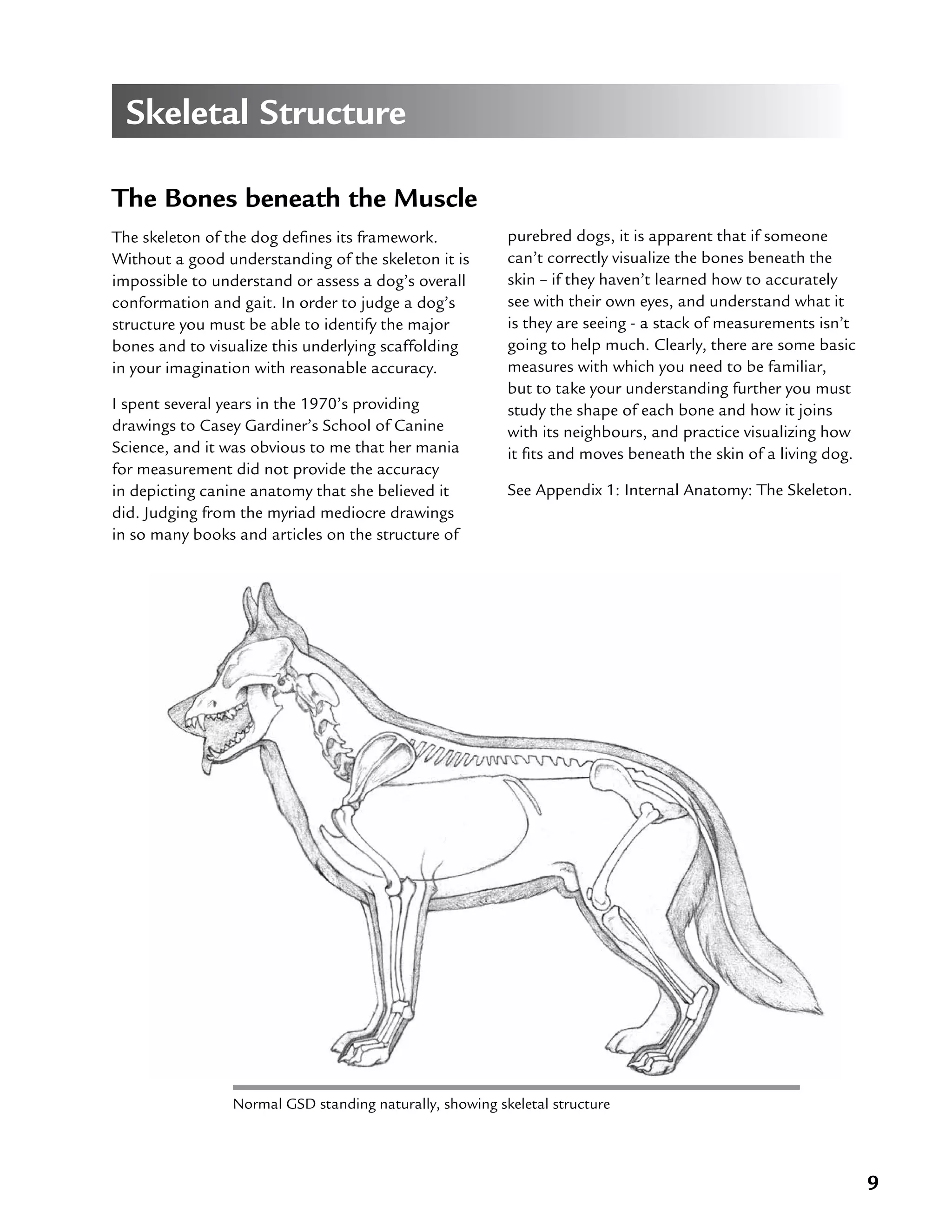 The illustrated-standard-for-the-german-shepherd-dog | PDF