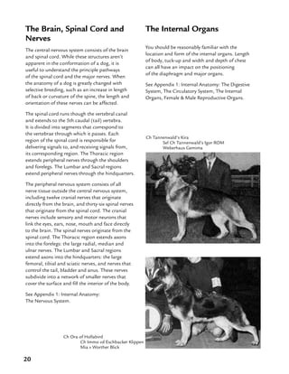 The illustrated-standard-for-the-german-shepherd-dog | PDF