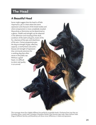 The illustrated-standard-for-the-german-shepherd-dog | PDF