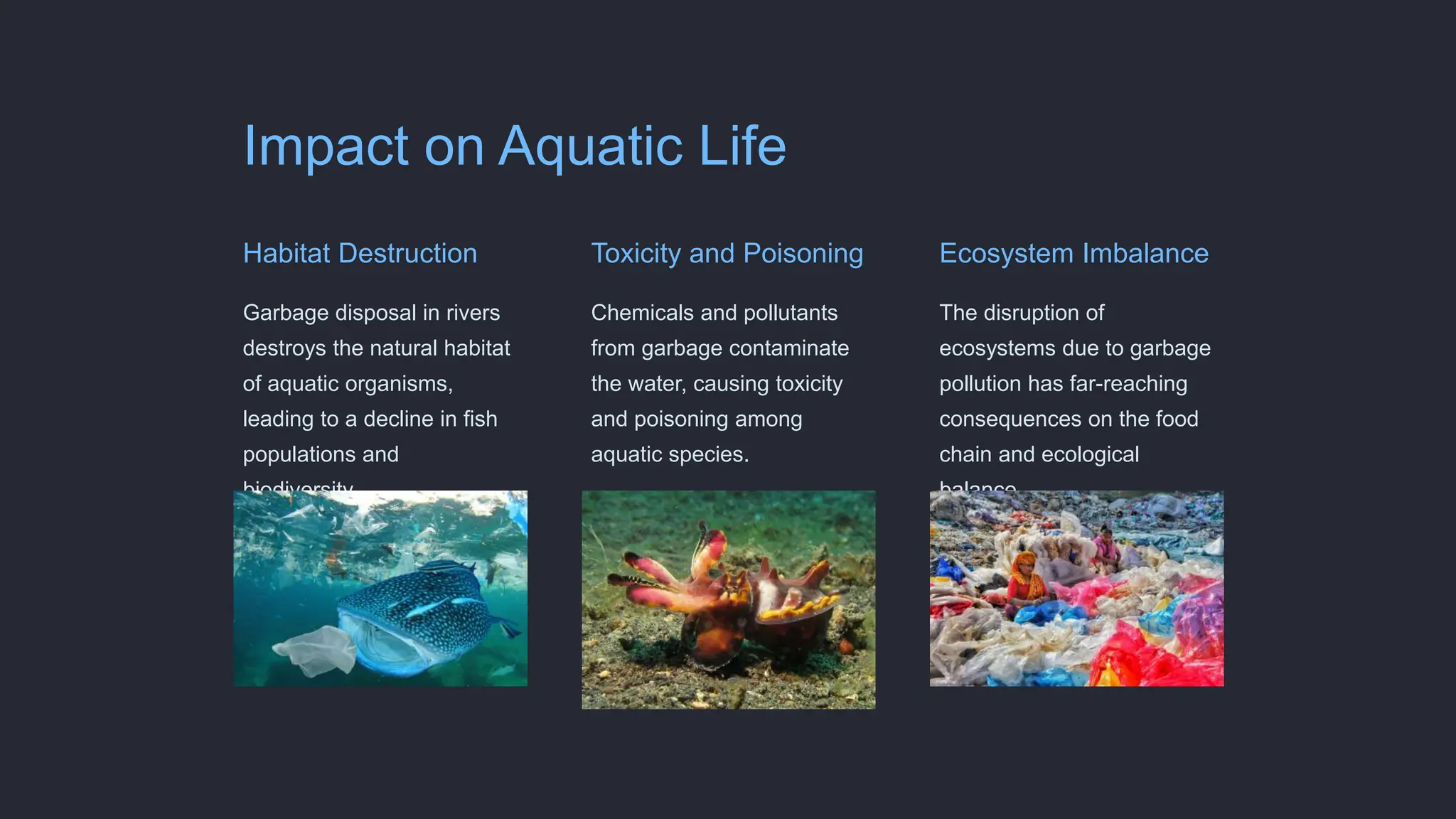 The-Impact-of-Garbage-in-Rivers-1 ..pptx | Indoor Environmental Quality | Home & Garden