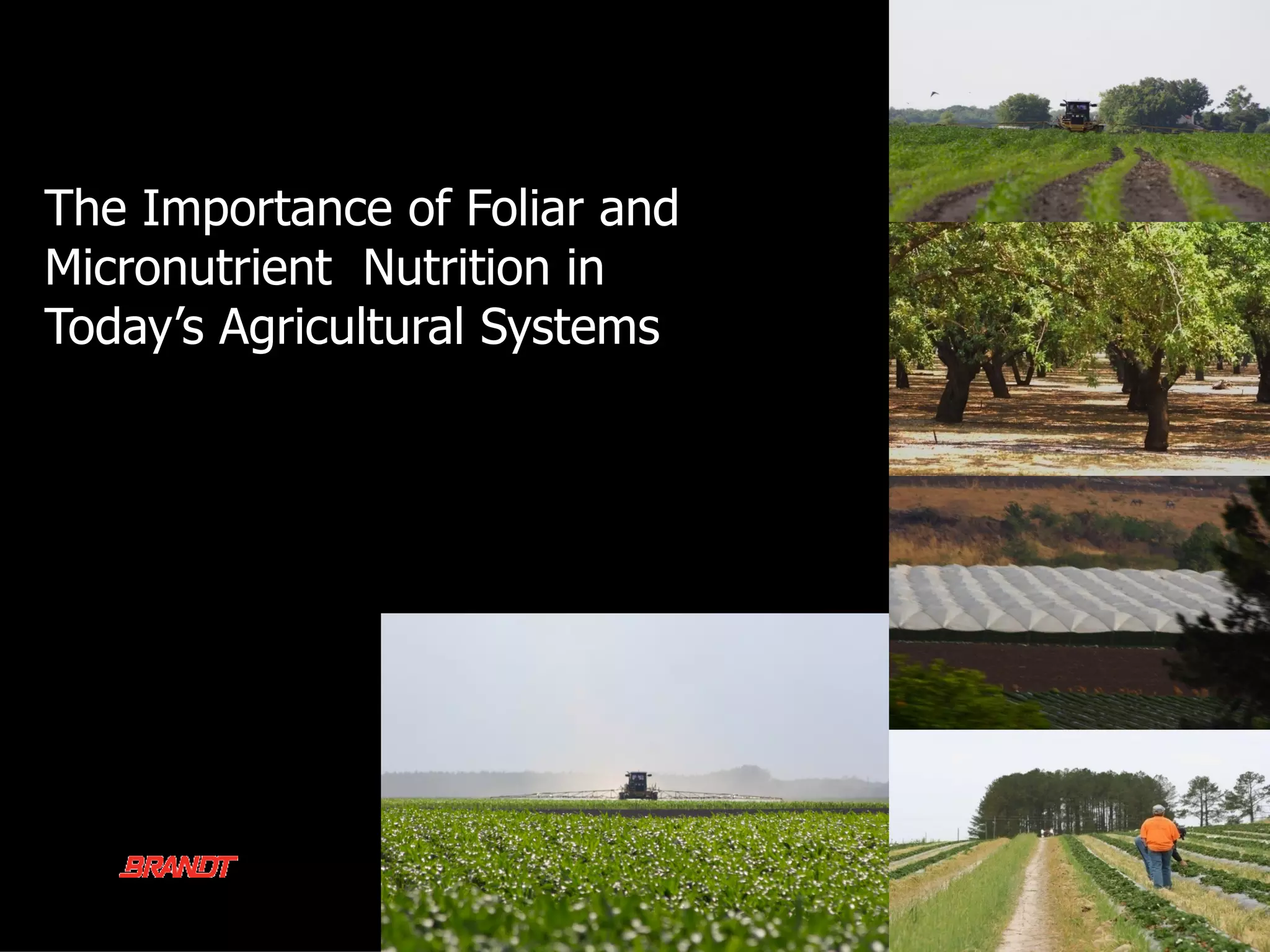 The importance of foliar nutrition in todays modern agriculture | PPT