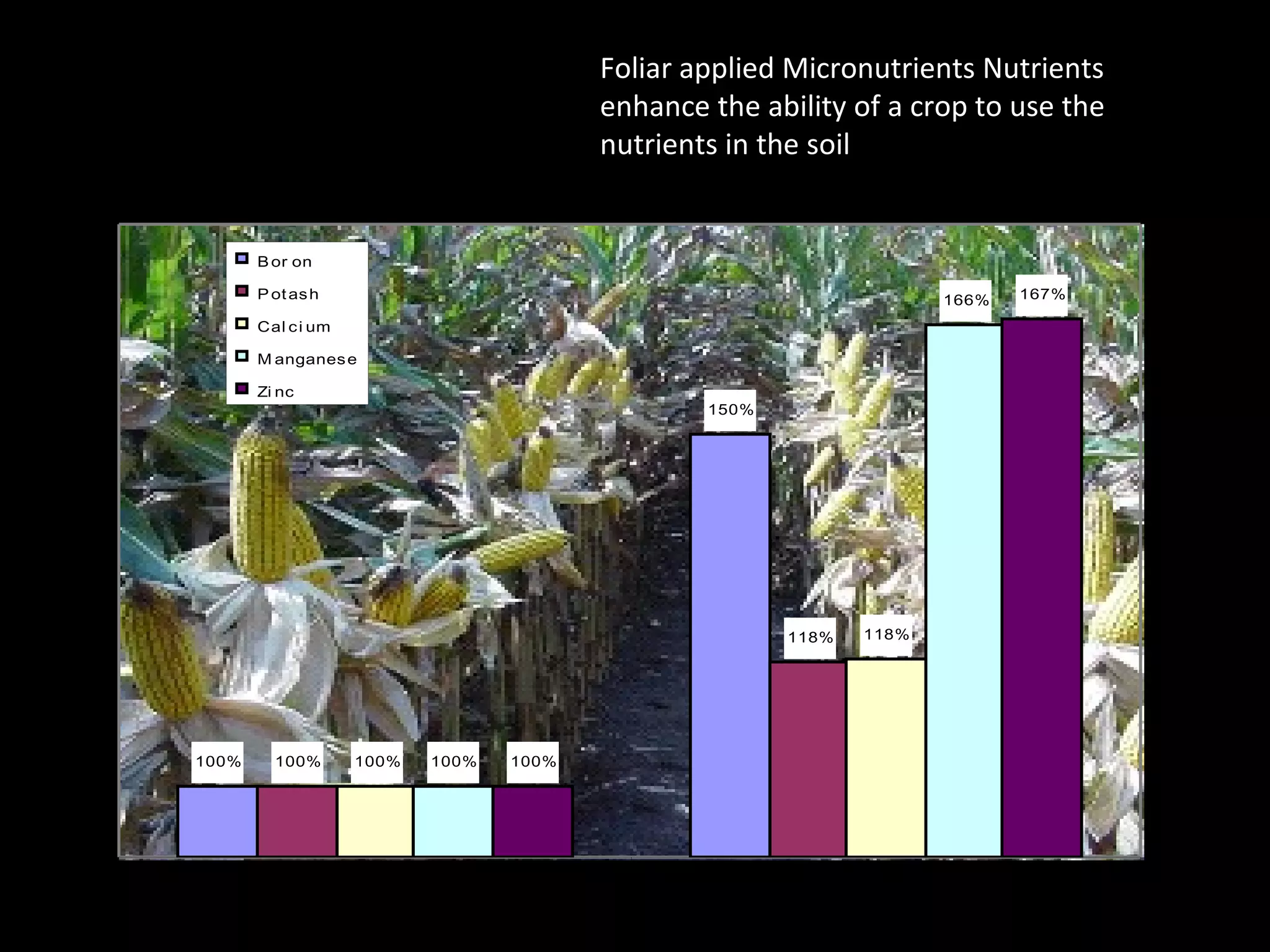 The importance of foliar nutrition in todays modern agriculture | PPT