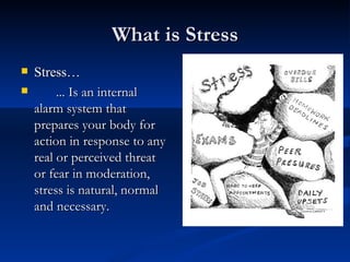The Importance Of Managing Stress Presentation | PPT