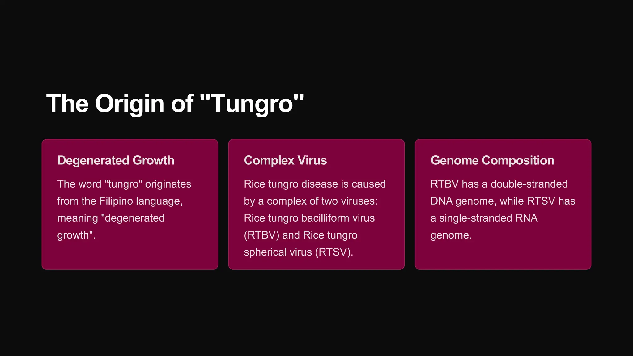 The Tungro Virus: Rice's Invisible Enemy | PPTX
