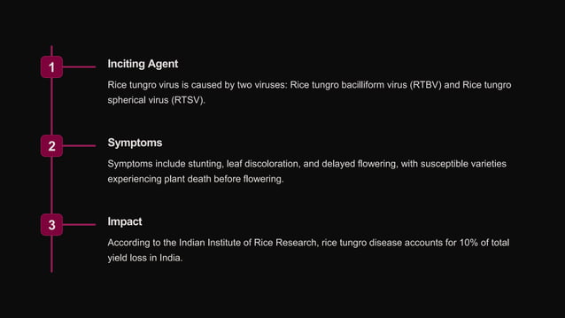 The Tungro Virus: Rice's Invisible Enemy | PPTX | Infectious Diseases ...