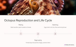 The-Incredible-Octopus jauwuu2hwhwhsjj.pdf