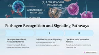 Materi MK Immune The-Innate-Immune-System.pdf