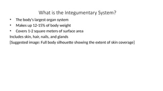 The-Integumentary-System--Your-Body-s-Protective-Shield.pptx