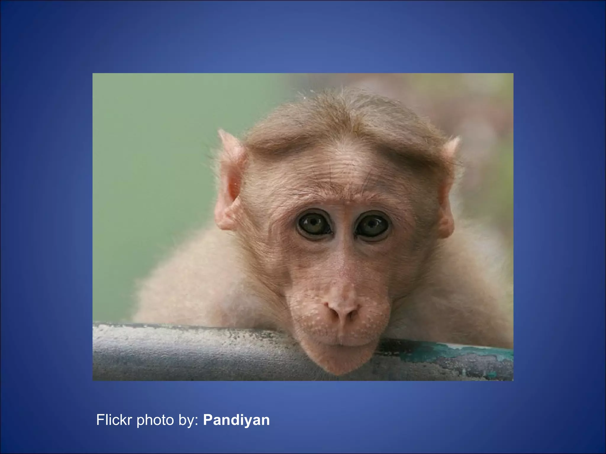 The Japanese Scripts Explanation1 | PPT