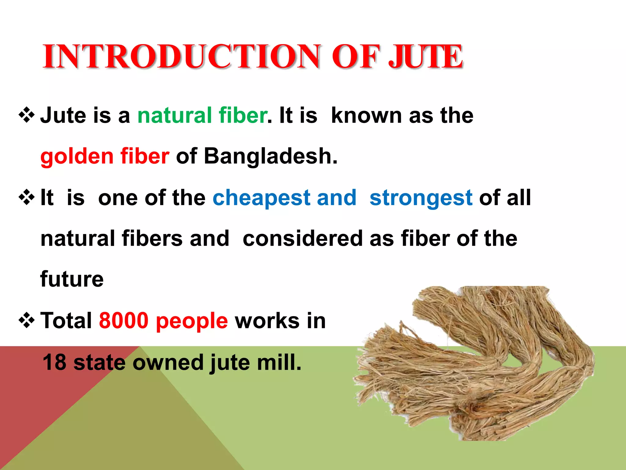 The jute-industry-in-bangladesh | PPTX