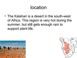 The Kalahari desert Brandon.ppt