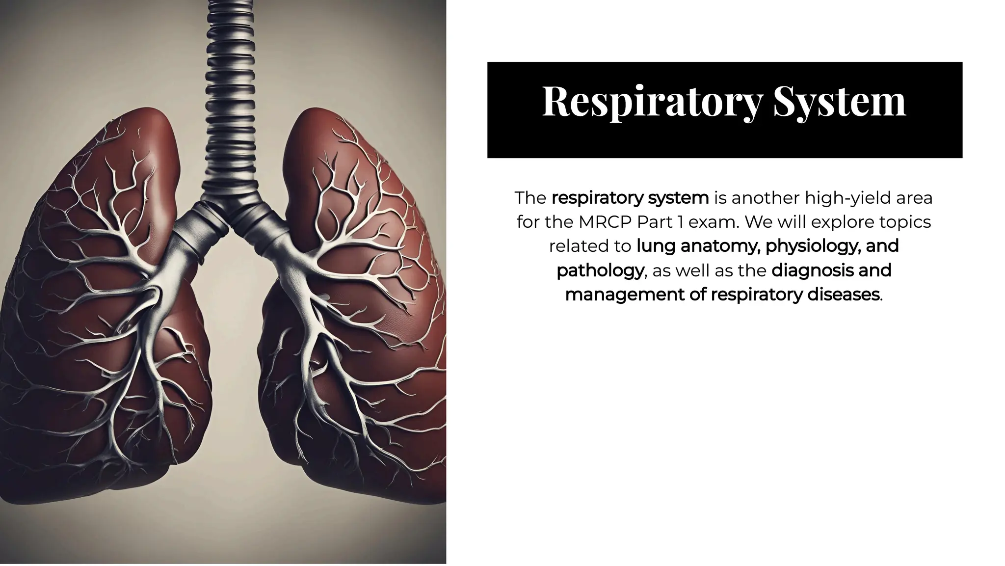 Top 10 High-Yield Topics in MRCP Part 1 Examination | PDF