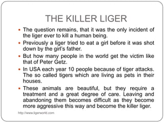 The killer-liger | PPTX