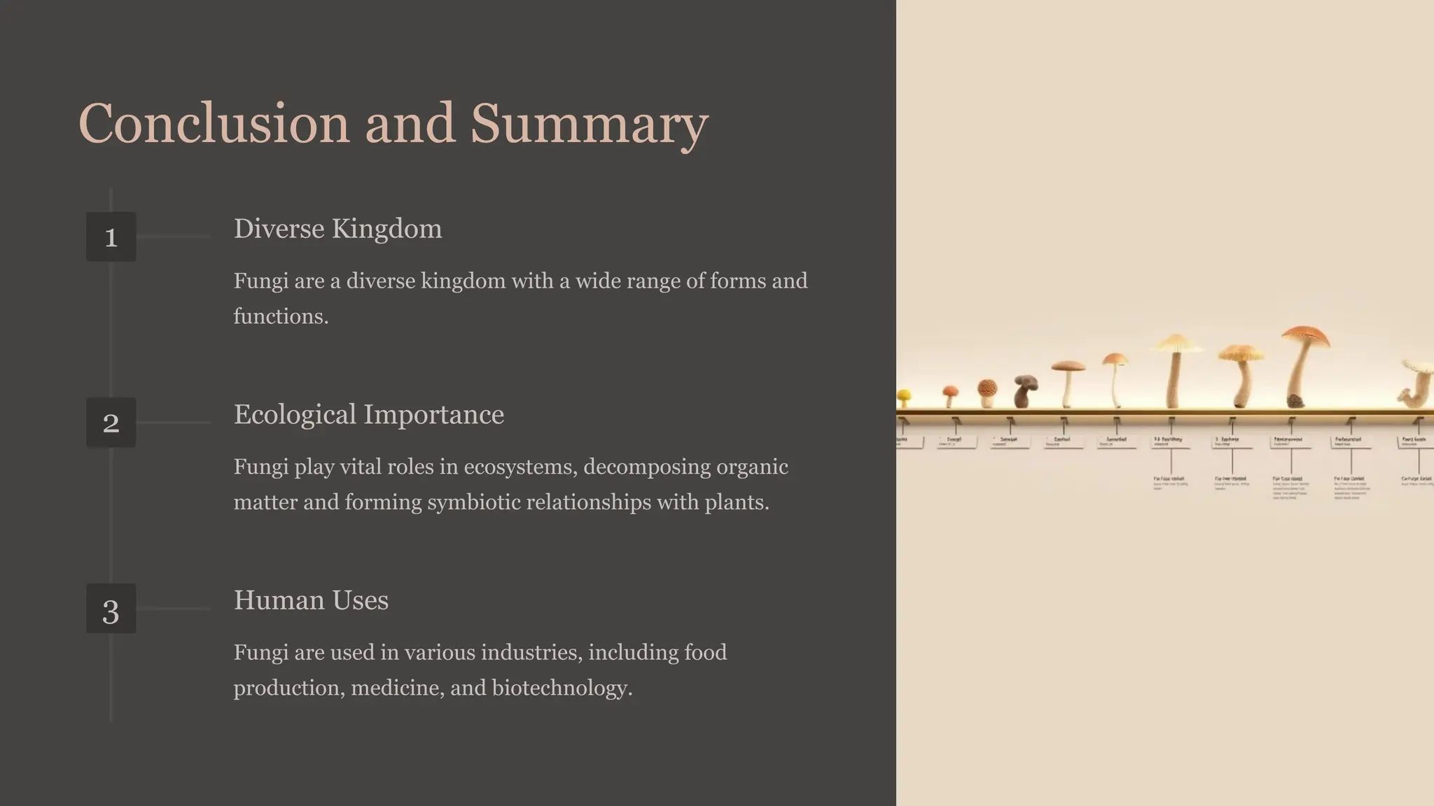 The-Kingdom-of-Fungi ppt 8th grades.pptx