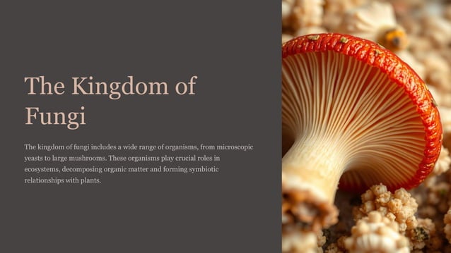 The-Kingdom-of-Fungi ppt 8th grades.pptx