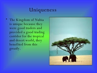 The Kingdom of Nubia by: Waseem,Mike, and Matar | PPT