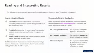 Comprehensive Guide to Antibiotic Susceptibility Testing (AST) and ...