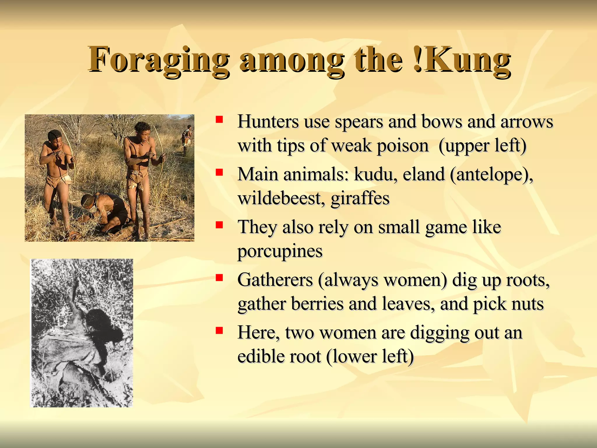 !Kung San of the Kalahari Desert | PPT
