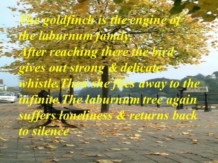 The Laburnum Top By Ms Anjana Taneja