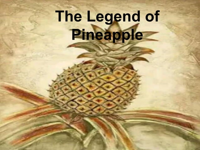The legend-of-pineapple | PPT