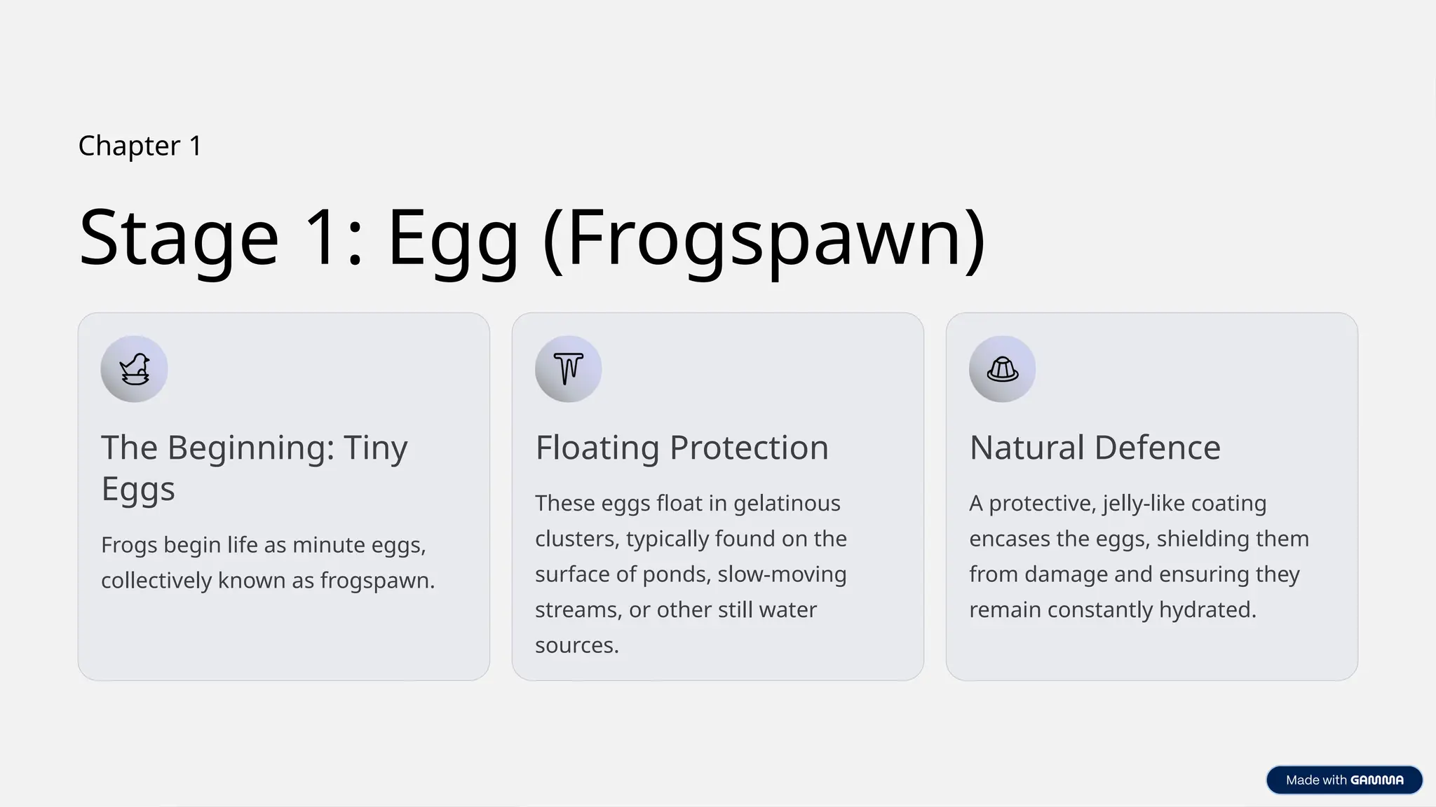 The-Life-Cycle-of-a-Frog and stages of growth (1).pptx
