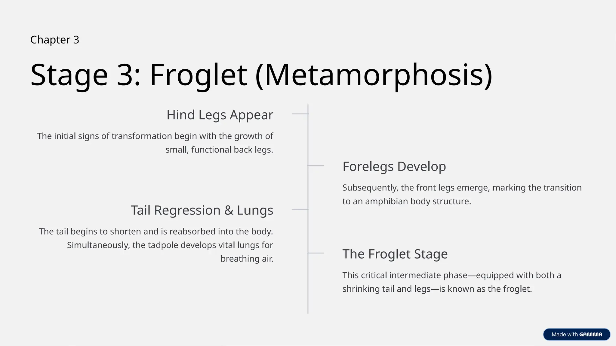 The-Life-Cycle-of-a-Frog and stages of growth (1).pptx