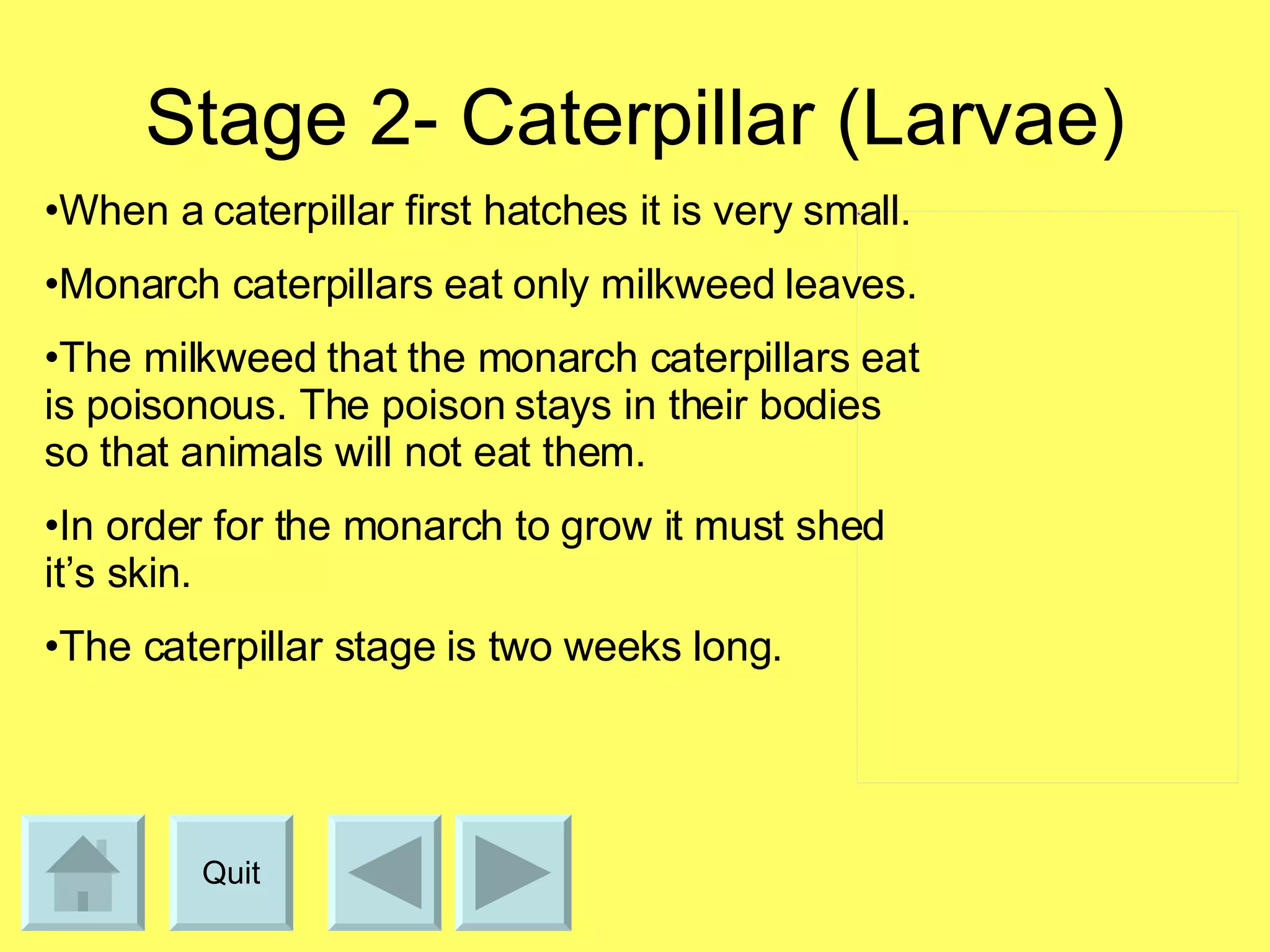 The Life Cycle Of The Monarch Butterfly | PPT