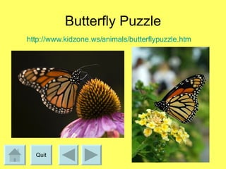 The Life Cycle Of The Monarch Butterfly | PPT