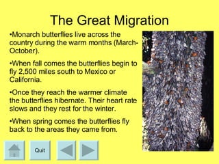 The Life Cycle Of The Monarch Butterfly | PPT
