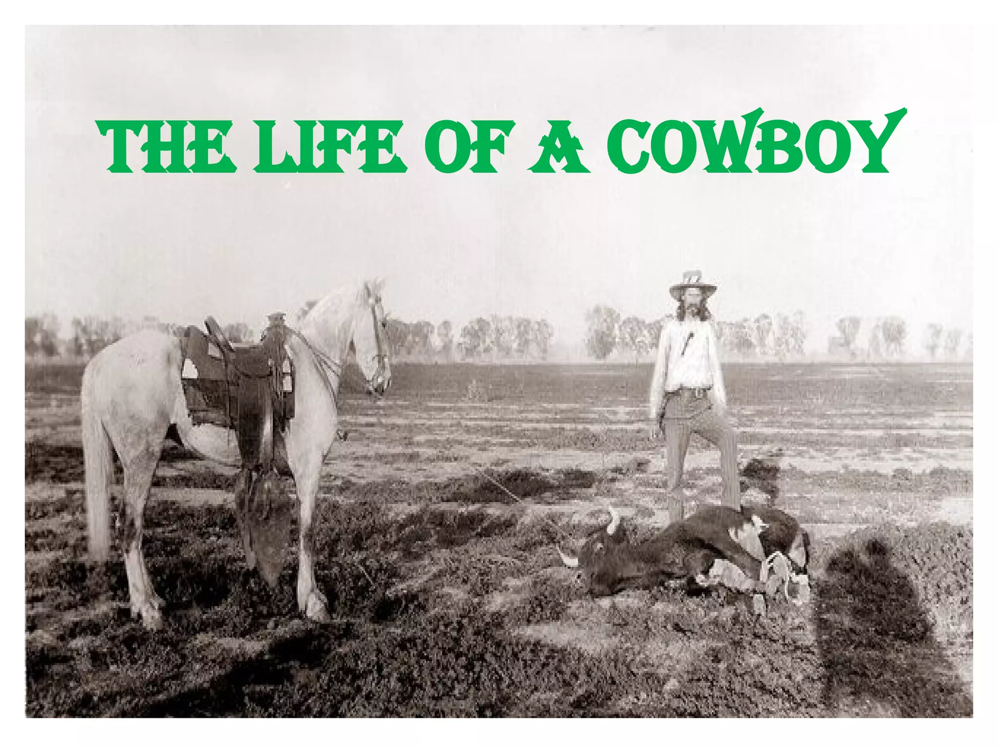 The Life Of A Cowboy | PPT