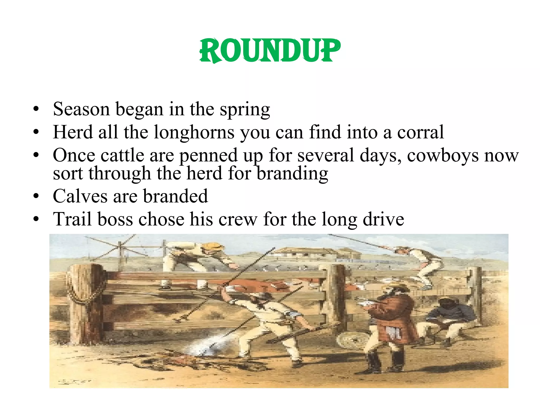 The Life Of A Cowboy | PPT