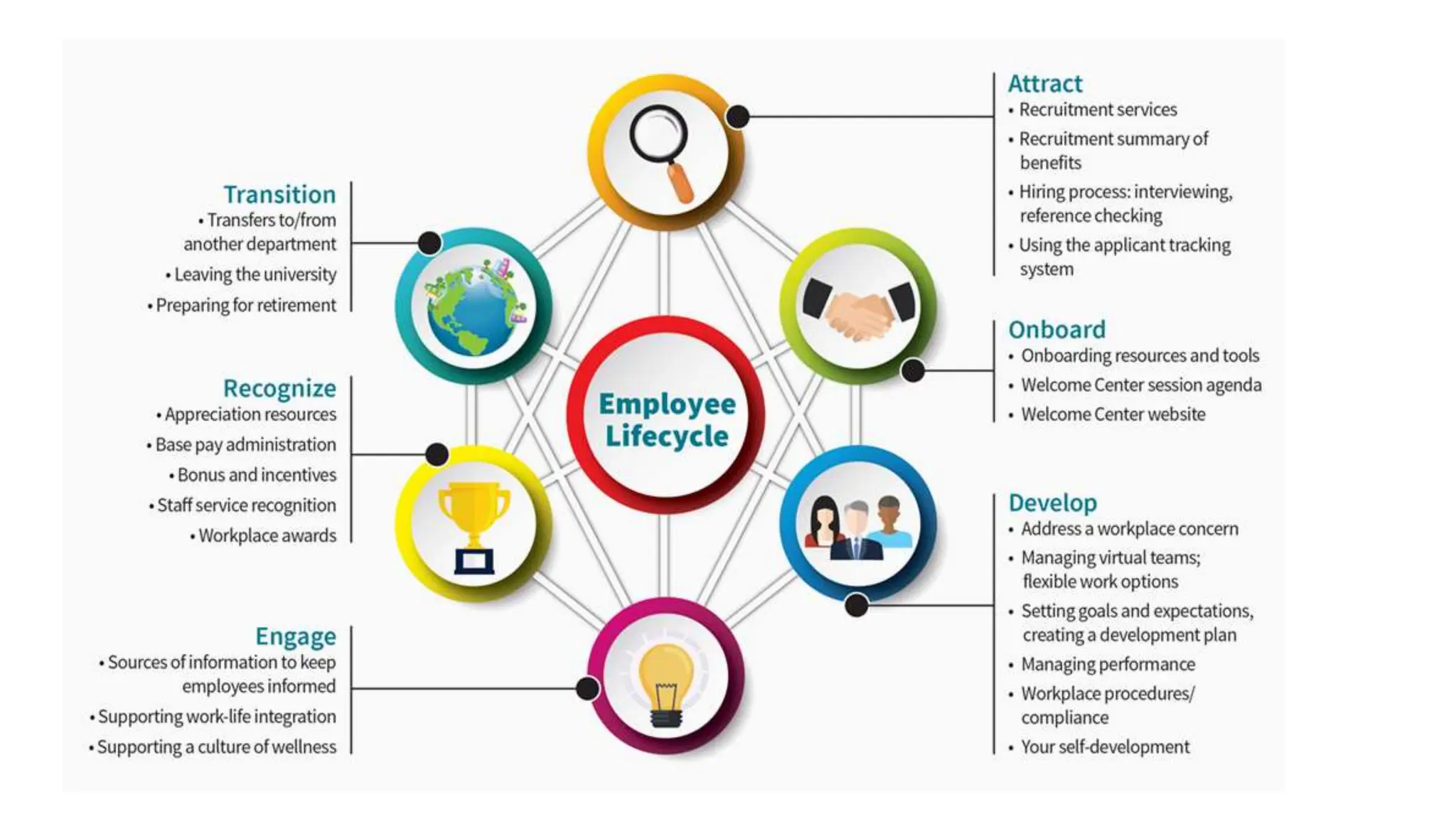 The-Lifecycle-of-Employees in HRM Concept.pptx
